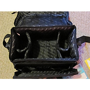 Nikon D50 DSLR Camera (Body Only) (OLD MODEL)