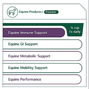 Standard Process Equine Immune Support - Whole Food Horse Supplies for Immune Support with Whey Protein, Magnesium Citrate, Kale, Sunflower Lecithin, L-Glutamine, Turmeric Root - 30 Ounce