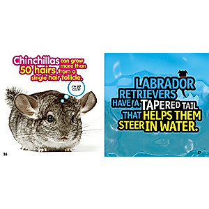 Weird But True! Animals