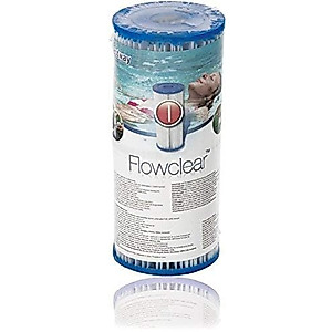 POOL FILTER CARTG I 2PK