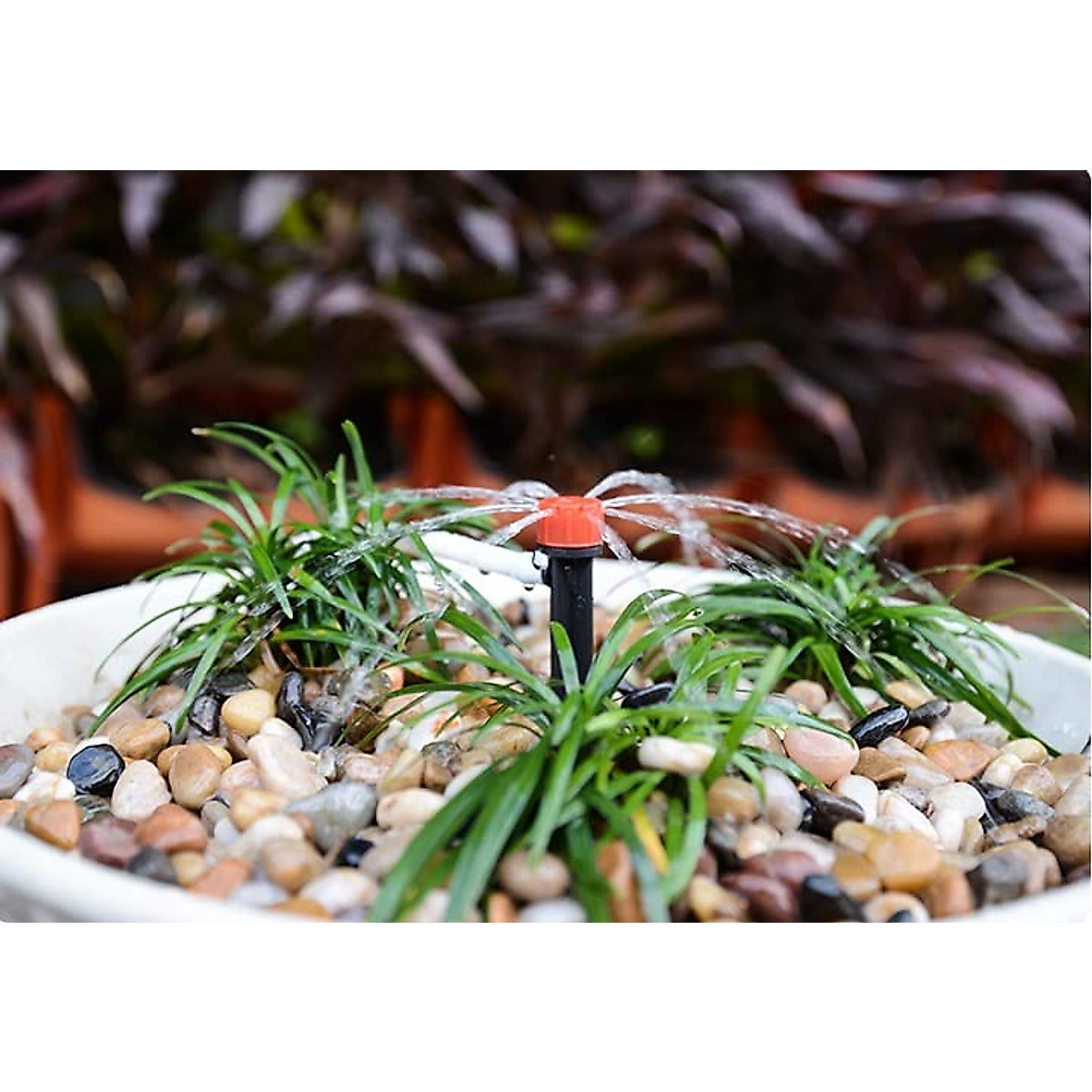 La Farah 50pcs Drip Emitters for 1/4" Drip Irrigation Tubing, Adjustable 360 Degree Water Flow Drippers on 5" Arrow Stake, Garden Irrigation Drippers for (4-7mm) Watering System