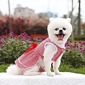 Puppy Outfits for Small Dogs Summer Autumn Bow Spring Knot Clothes Pet Summer Skirt Dress Cat Supplies Dress Wedding Plaid Stripes Pet Clothes Dog Outfit Small Girl