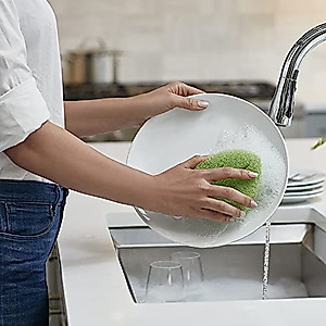 Re:Fresh Hygienic Scrub Sponge, 4 Count (Packaging May Vary)