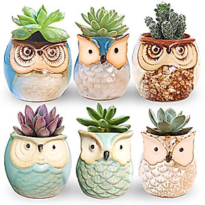 ROSE CREATE 6 Pcs 2.5 Inches Owl Pots, Little Ceramic Succulent Bonsai Pots with a Hole - Pack of 6