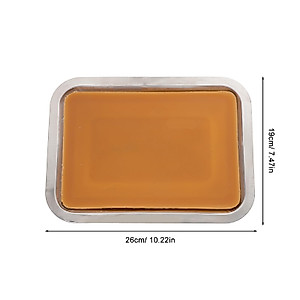 UKCOCO Wax Dissection Tray - Stainless Steel Dissecting Tray Biological Laboratory Equipment for Junior Senior School (18x25cm)