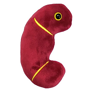 Giantmicrobes Kidney Plush, Kidney Stuffed Animal, Kidney Transplant Gifts, Kidney Donor Gifts, Kidney Pillow, Urology Gifts, Nephrology Gifts, Dialysis Nurse Gifts, Gifts For Urologist, Kidney Toy