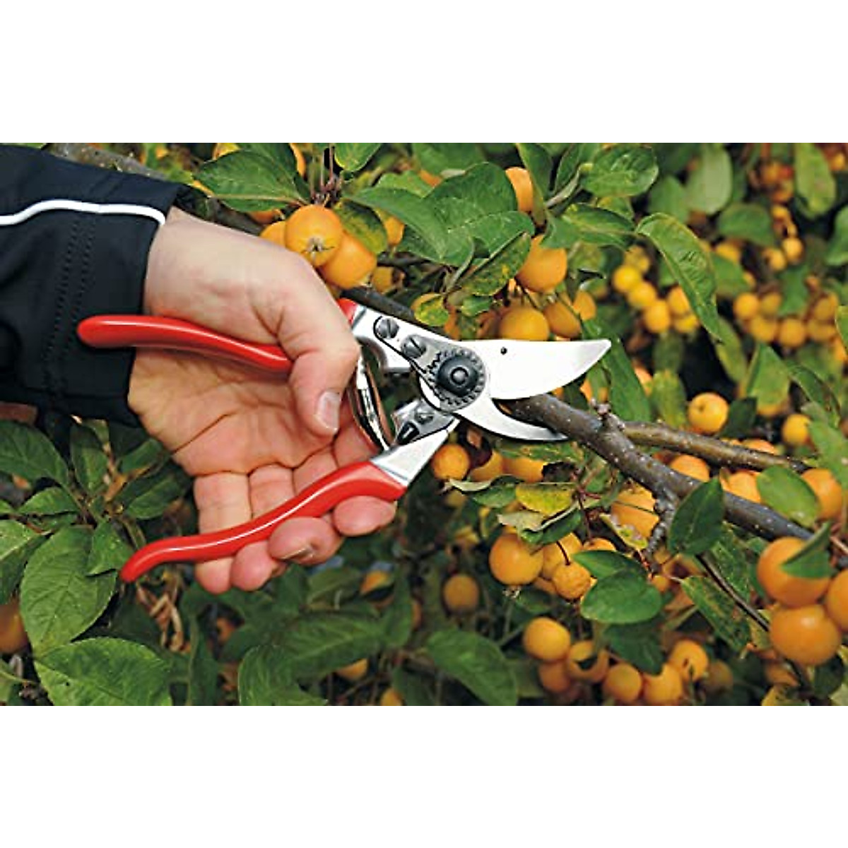 Felco Pruning Shears (F 9) - High Performance Swiss Made One-Hand Left-Handed Garden Pruners