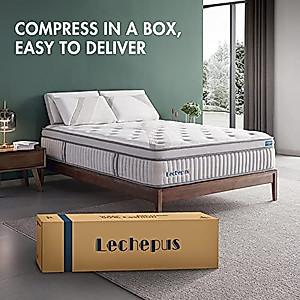 14 Inch Queen Mattress in a Box, Lechepus Plush Memory Foam Hybrid Mattress with Pocket Innerspring, Soft But Supportive Mattress for Pressure Relief, Queen Size 60"*80"