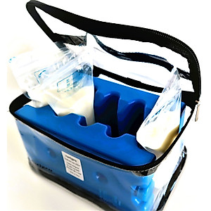 Ice Pack and Safety Case Set for Breastmilk Bags - carigro Brand - Insert for Breastmilk Cooler Bag (3 Items)