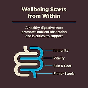 Wellness CORE Digestive Health Dry Dog Food with Wholesome Grains, Highly Digestible, for Dogs with Sensitive Stomachs, Made in USA with Real Protein (Whitefish & Brown Rice, 4-Pound Bag)