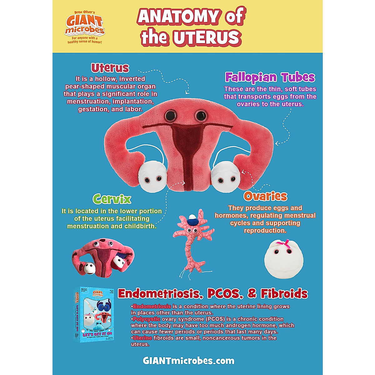 GIANTmicrobes Uterus Plush Toy, Uterus Stuffed Animal, Uterus Gifts, Uterus Plush, Hysterectomy Gifts, Endometriosis Gifts, Gynecologist Gifts,Obgyn Gifts, Feminist Gifts, Fertility Gift,Get Well Gift