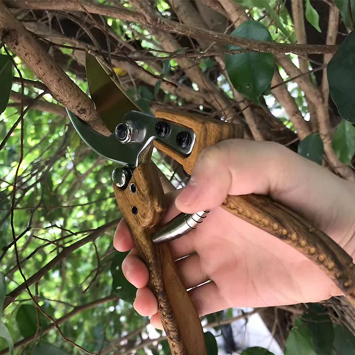 Pruning Shears, Professional Sharp Garden Shears, SK-5 Stainless Steel Pruners for Gardening, 8”Bypass Hand Pruners for Plants, Gardening, Trimming, Gardening Tools（Grain Wood)