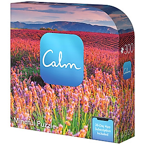 300-Piece Calm Jigsaw Puzzle for Relaxation, Stress Relief, and Mood Elevation, for Adults and Kids Ages 8 and up, You are Enough