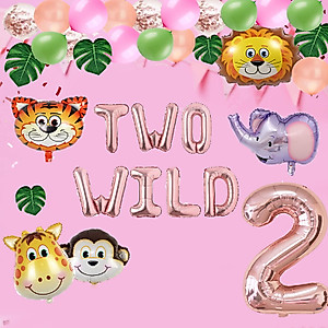 Two Wild Birthday Party Decorations, Jungle Themed Secend Girl Birthday Party Supplies Set Cute Animals Head Balloons and Two Wild Banner Caketoppers for Girls 2nd Jungle Birthday Decor