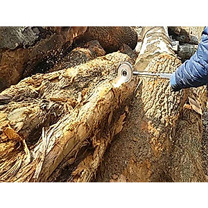 Manpa 2" Circular Cutter 12mm