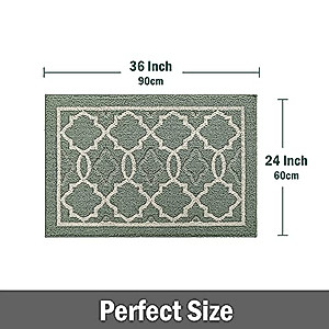 THRILRUG Indoor Door Mat,Non-Slip Absorbent Machine Washable Entrance Rug, Low-Profile Front Door Mat for Back Door Inside Rugs for Entryway-Sage Green Trellis (Green Trellis, 24"x36"/60x90cm)