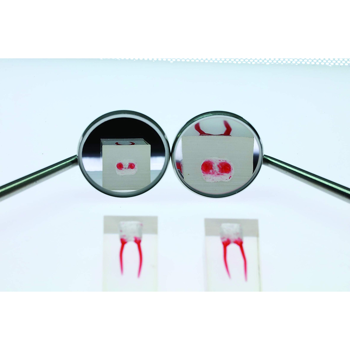 Magnifying Dental Mirror #4, 3X Magnification with Non-Slip Metal Handle