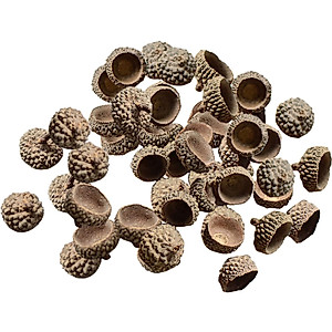 200Pcs Natural Acorns Caps Decorative for Craft Vase Fillers Home Garland Autumn Embellishments Ornaments Vase Fillers