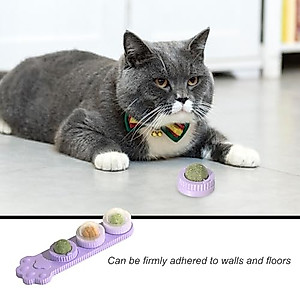 Catnip Chew Toys, Kitten Catnip Balls, Cats Balls Treats Set, Cat Teeth Cleaning Toys, Natural Catnip Balls, Engaging Catnip Playthings, Fun and Interactive Toy for Cats