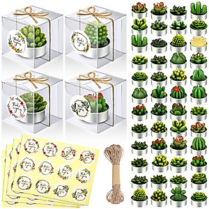 MTLEE 48 Set Cactus Tealight Candles Delicate Succulent Cactus Candles Mini Candles Plant Party Favors Gifts for Christmas Baby Shower Fiesta Birthday Anniversary Celebration Wedding Party
