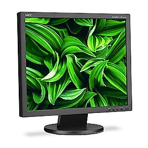 NEC AS194MI-BK 19" Value Desktop Monitor with LED Backlighting
