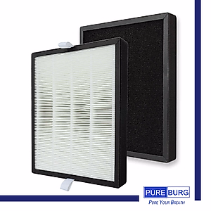 PUREBURG BS-10 True HEPA Replacement Filters Compatible with PARTU BS-10 Air Purifier,H13 3-Stage Filtration Activated carbon Air Clean Dust VOCs Odor, 2-Pack
