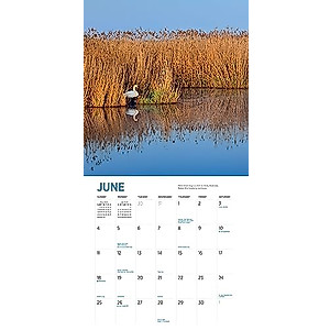 Audubon Nature Wall Calendar 2023: A Year of Breathtaking Vistas