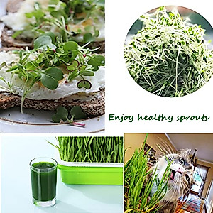 SHEING Seed Sprouter Germination Tray 5 Pack, BPA Free Nursery Healthy Wheatgrass Seeds Grower & Storage Trays for Garden Home Office