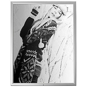 Displays2go Outdoor Frame for 22"x28" Posters or Advertisements, Locking, Weatherproof and Rustproof, Silver Aluminum