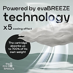 Evapolar evaSMART Personal Evaporative Air Cooler and Humidifier and Portable Air Conditioner EV-3000, Stormy Grey