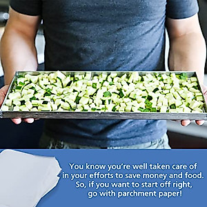 100Pack Tray Mats Set for Harvest Right Freeze Dryer Trays, Accessories for Harvest Right Freeze Dryer, One-Off Tray Mats Compatible with Harvest Right Freeze Dryer Medium Trays - (17" x 6.8")