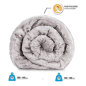 Beautyrest Duke Weighted Adult, Faux-Fur, Glass Beads Filling, and Removable Cover Calming Heavy Blankets, 60x70-18lbs, Grey