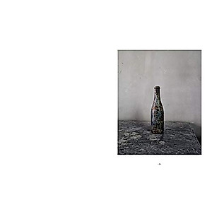 Joel Meyerowitz: Cézanne's Objects