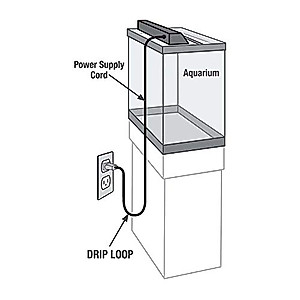Aqueon Standard Glass 10 Gallon Rectangular Tank for Aquariums & Terrariums