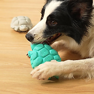 Sedioso Dog Chew Toys for Aggressive Chewers Large Breed, Tough Dental Chews Toy, Toothbrush Medium Dogs Teeth Cleaning(Lake Green), XJYG-2022