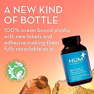 HUM Big Chill - Calming Supplements for Adults with 500mg of Rhodiola Rosea for Stress Relief & Mood Support - Rhodiola Supplement Balances Adrenal Health for Improved Stress Response (30 Capsules)