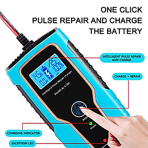 VERSAINSECT rger Fully-Automatic Smart 6-Amp 12V and 24V, Battery Maintainer Trickle Charger, and Battery Desulfator with Temperature Compensation