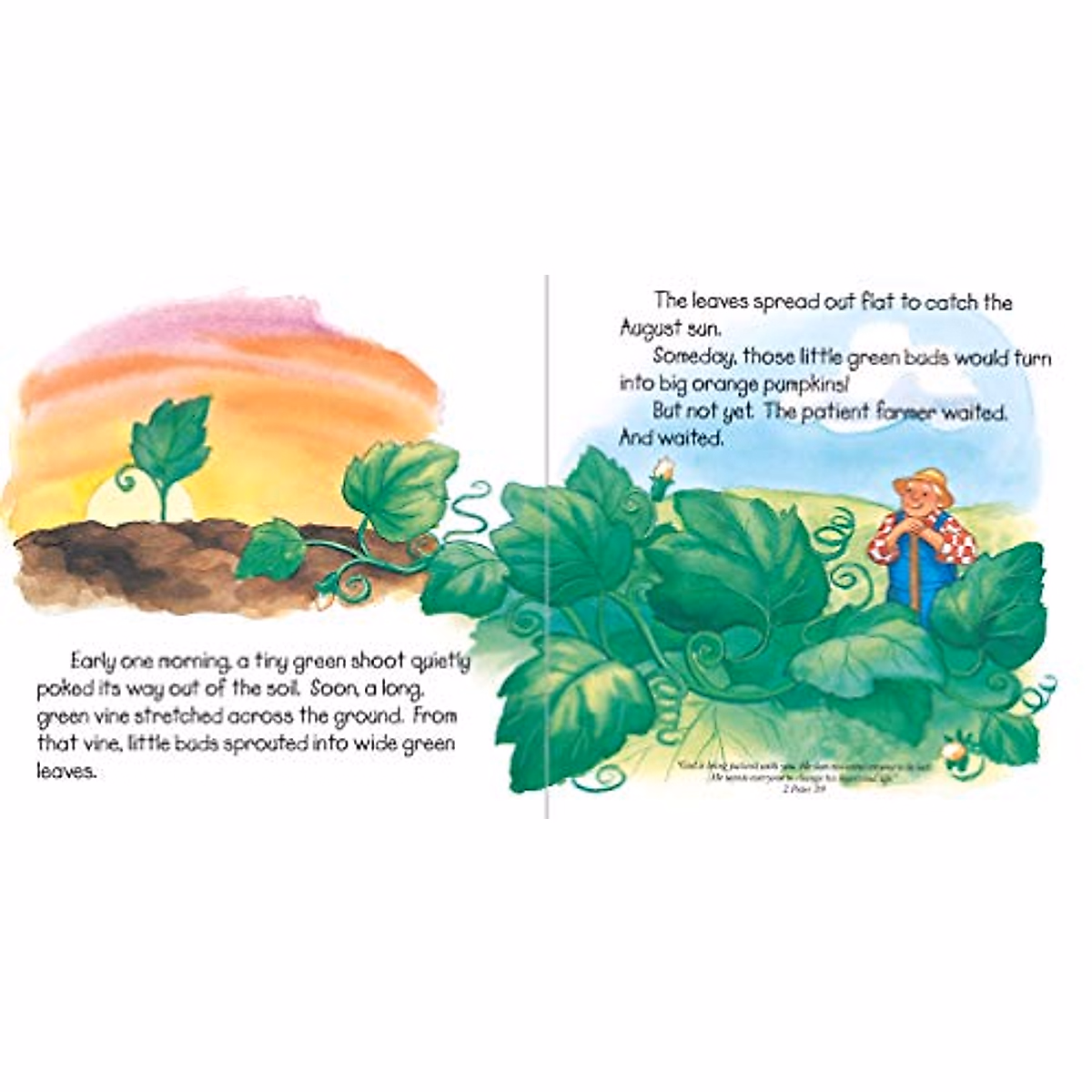 The Pumpkin Patch Parable: Special Edition (Parable Series)