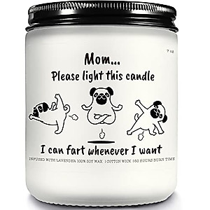 Dog Mom Gifts for Women, Dog Lovers Gifts for Women, Mothers Day Gifts for Dog Lovers, Dog Mom Gifts, Dog Owner Gifts, Best Gifts for Fur Mamas,Teacher Nurse Birthday Gifts for Pet Mom.