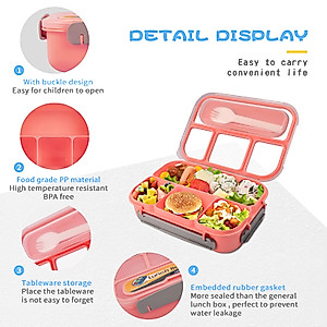 Bento Box Lunch Box, Bento Box Adult Lunch Box, Lunch Containers for Adults/Students, 5 Cup Bento Boxes with 4 Compartments&Fork, Leak-Proof, New and Upgraded Packaging, Pink