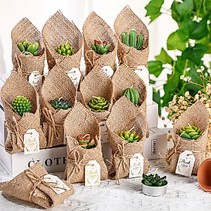 MTLEE 12 Sets Succulent Cactus Tealight Candles with Mini Terracotta Pots Natural Burlap Bags Thank You Tag and Ropes, Baby Shower Plant Candles, Handmade Plant Candles Gift for Birthday and Wedding