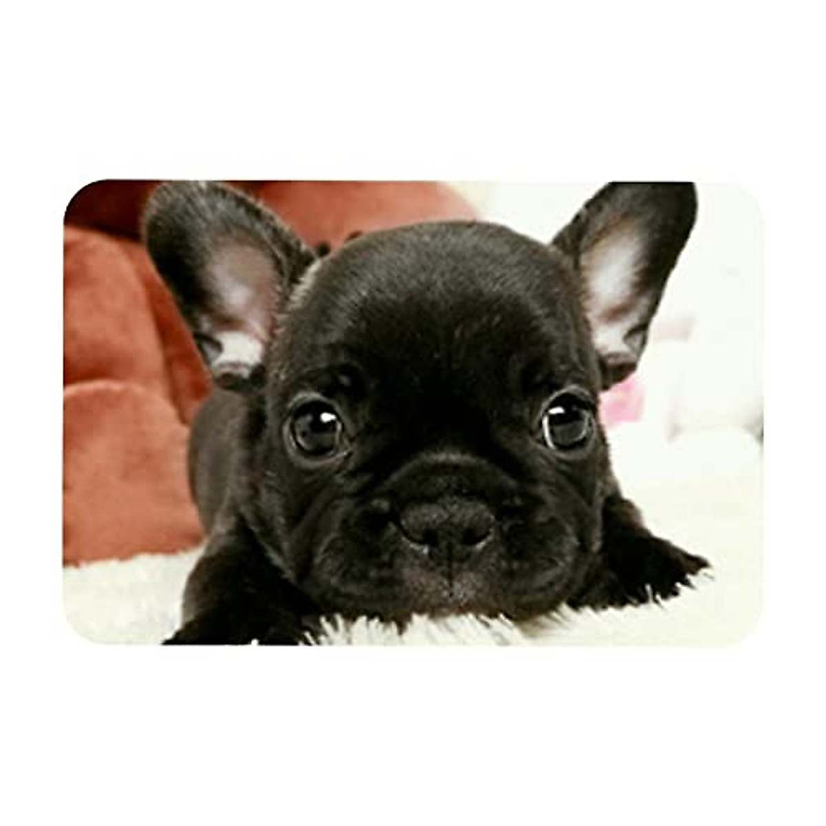 VBFOFBV Kitchen Rug Mats, Soft Kitchen Mat Anti Slippery Machine Washable, Animal French Bull Dog