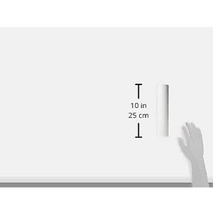 Watts Premier WP500299 Whole House WHT WH-LD 50-Micron Replacement Sediment Water Filters, 5 Count (Pack of 1)