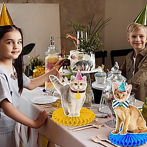 10Pcs Cat Honeycomb Centerpieces Cat Birthday Party Supplies Kitten Party Decorations Lovely Cat Decoration Table for Cat Theme Birthday Party Baby Shower Supplies