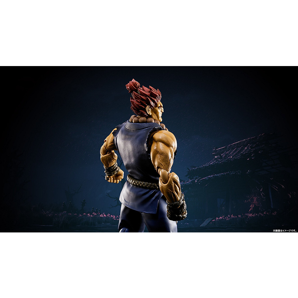 TAMASHII NATIONS Bandai S.H. Figuarts Akuma Street Fighter Action Figure