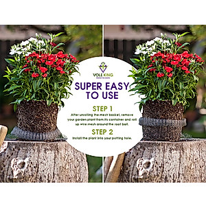 VOLE KING Plant Baskets - Gopher and Vole Baskets, 15 Gallon, Pack of 1 - Protect Plants, Trees, Flowers and Bulbs from Voles, Gophers and Moles - A One Time Solution, No Repellent Needed