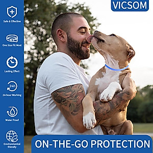 4 Pack Flea Collar for Dogs, Dog Flea and Tick Collar 8 Months Flea and Tick Prevention for Dog, Waterproof Adjustable Puppy Collar Natural Tick and Flea Collars for Small Medium Large Dogs,Blue