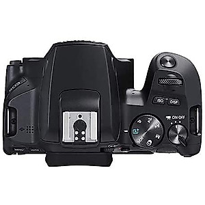 EOS 250D / Rebel SL3 Digital SLR Camera Body w/EF-S 18-55mm f/3.5-5.6 Lens 3 Lens DSLR + Canon 75-300 Lens Kit Bundled with Complete Accessory Bundle - International Model (Renewed)