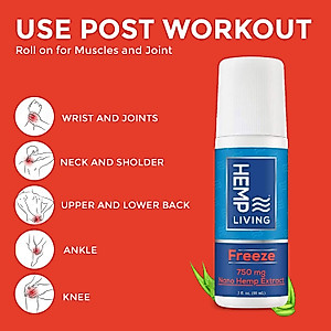 HEMP LIVING Freeze Nano Hemp Extract Roll On, Cold Therapy, Roll On for Muscles and Joint Strain, 3 oz Roll on Bottle (750 mg)