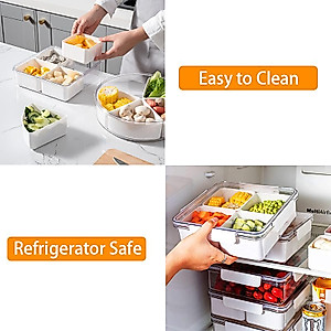 2Pack Veggie Tray with Lid for Fridge, Snackle Box Container for Party, 4 Compartment Divided Serving Trays, Food Storage Containers with Lids for Refrigerator